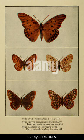 This work provides a guide to identifying and understanding butterflies ...