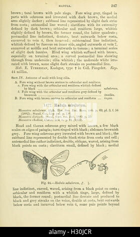 A catalog of moths and butterflies (Lepidoptera) housed in the British ...