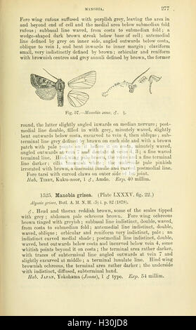 This catalogue provides detailed descriptions of Lepidoptera Phalaenae ...