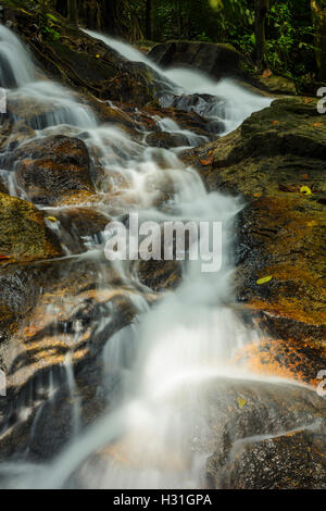 Waterfall at FRIM Kepong Stock Photo - Alamy
