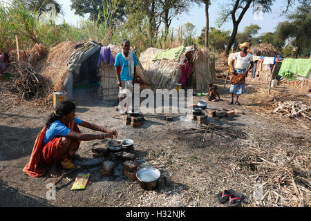 Tribal village settlement. Bhil tribe, Zabua district, Madhya Pradesh ...