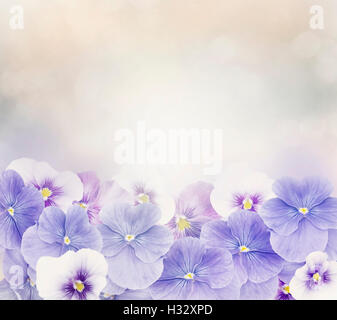 Floral blue-violet background. Pink thorny thistle flower. A pink ...