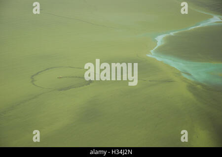 Lake Victoria" Algae Bloom Stock Photo - Alamy