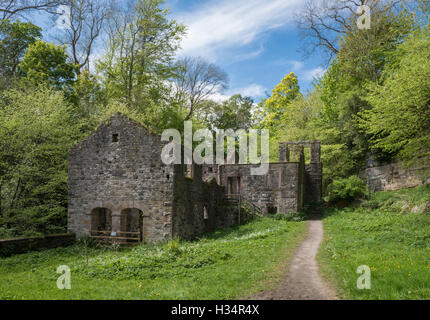 Old bobbin mill near the Howk, Caldbeck, Cumbria Stock Photo - Alamy