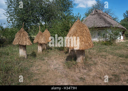 Ukrainian traditional wooden bee hive, Pirogovo (Pyrohiv), open air ...