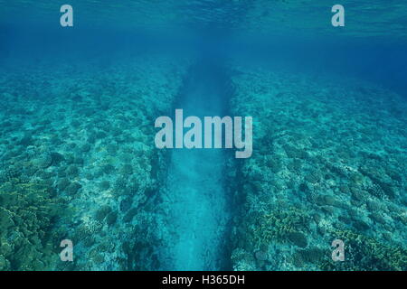 Underwater landscape, a natural trench into the reef slope due to wave ...