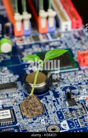 Sprout emerging from a green motherboard, nestled among capacitors and ...