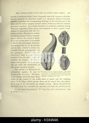 This geological work explores the Early Devonian period in New York and ...