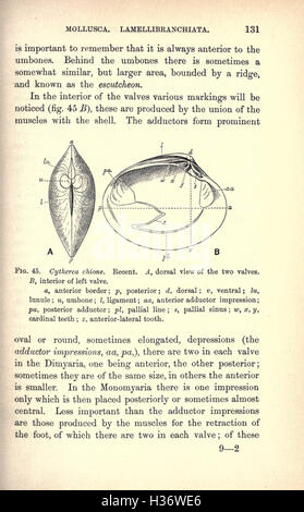 An introduction to geology and paleontology, focusing on the study of ...