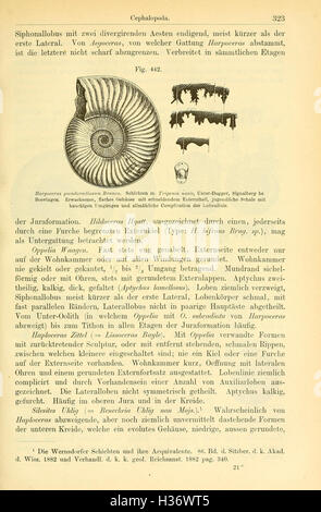 This paleontology work presents fossil findings, illustrating the ...