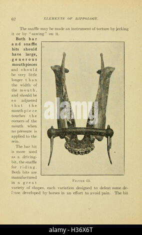 Elements of hippology (Page 4) BHL193 Stock Photo - Alamy