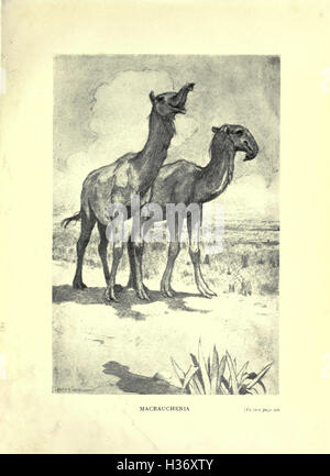 This work explores the concept of life's evolution through geological ...