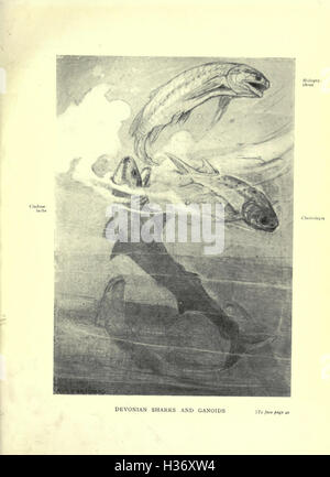 This plate illustrates key evolutionary processes that have shaped life ...