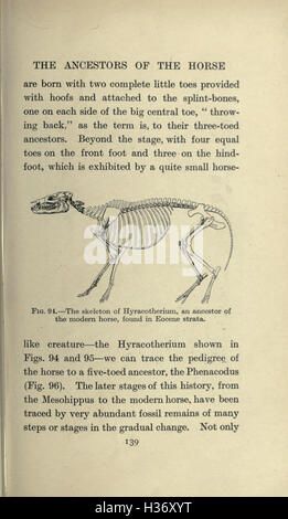 This book explores extinct animal species, focusing on their biology ...