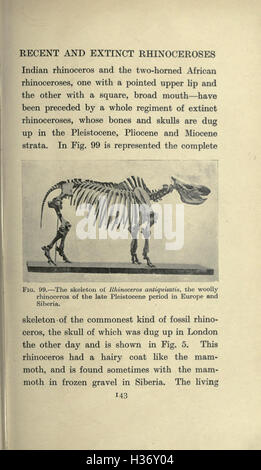 This text discusses various extinct species, focusing on their ...