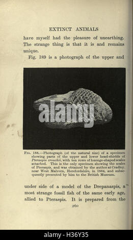 This work examines extinct animal species, including their ...