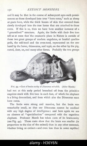 This work discusses extinct prehistoric creatures, examining fossil ...