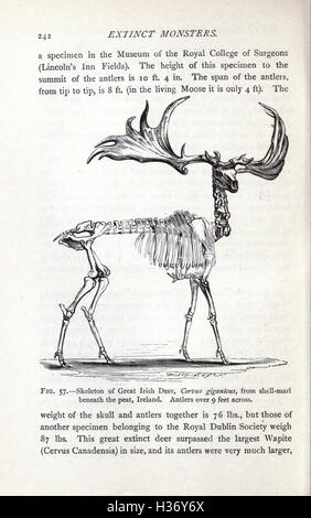 This work focuses on extinct creatures from prehistoric eras, including ...