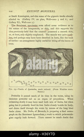 This work explores extinct prehistoric creatures, offering insights ...