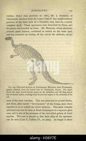 This work explores various extinct creatures, including monsters and ...