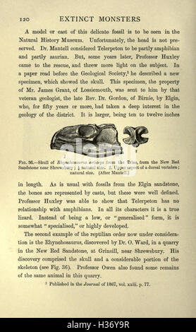This page delves into the study of extinct creatures, including ...