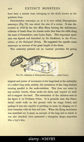 This book covers extinct animal species, examining their history ...