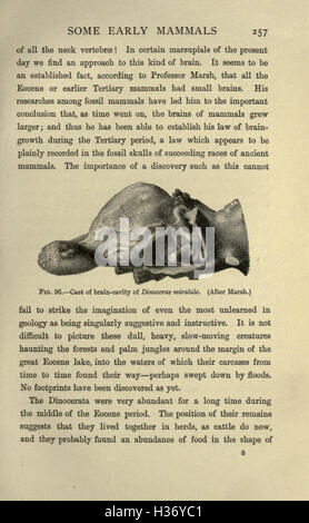 This work examines prehistoric animals, including extinct species ...