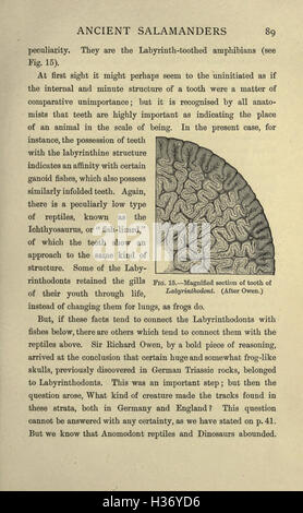 This page discusses various extinct monsters and creatures from ancient ...