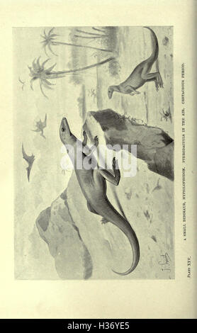 This work details the extinct animals of various geological periods ...