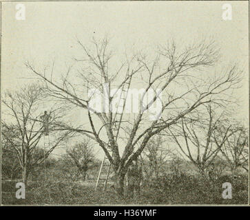 This annual report provides an overview of Michigan's agricultural ...