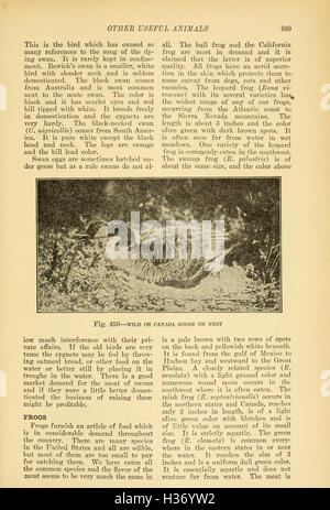 This cyclopedia provides comprehensive information on the care and ...