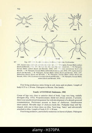 This work introduces the key principles of paleontology, focusing on ...