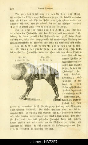 This comprehensive manual on agricultural animal husbandry and breeding ...