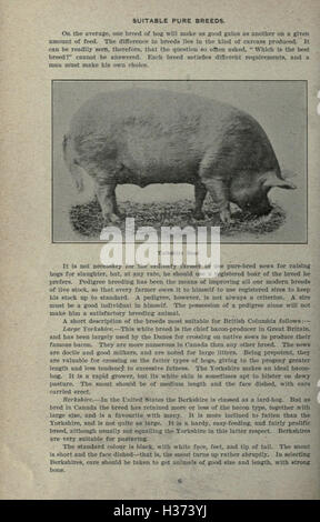 This text provides an overview of British animals that went extinct in ...
