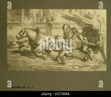 A study of the horse's movement, focusing on biomechanics and the ...