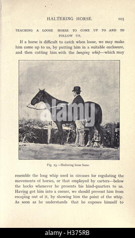 This book offers a visual guide to horse-breaking techniques ...