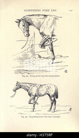 This illustrated guide provides visual instructions on the process of ...
