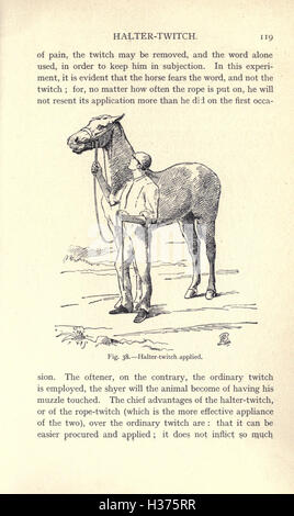 This illustrated guide provides visual instructions for breaking horses ...