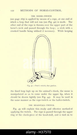 This guide offers a visual approach to horse breaking, providing step ...
