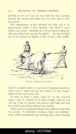 This illustrated guide to horse-breaking provides step-by-step ...