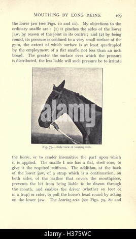 A practical guide to horse-breaking techniques, focusing on the methods ...