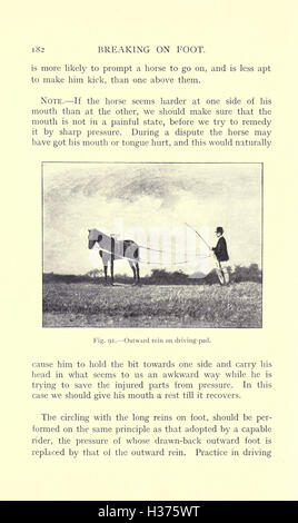 This page provides visual guidance on the process of breaking horses ...