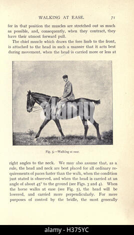 This work offers a visual guide to horse breaking techniques, providing ...