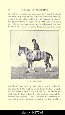 This guide illustrates methods of horse-breaking, focusing on ...