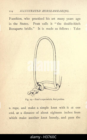 This page provides a visual guide to horse-breaking techniques ...