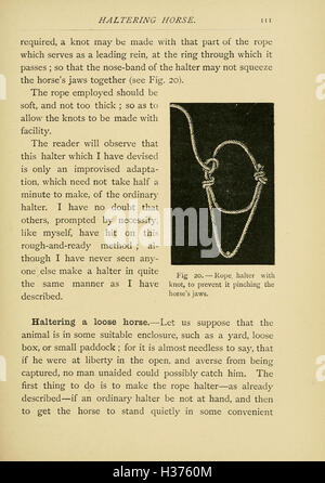 This work provides illustrated techniques for breaking and training ...