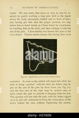 This book provides an illustrated guide to horse breaking, including ...