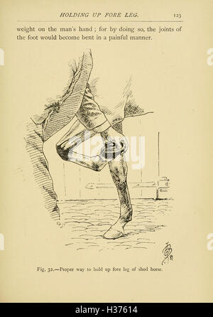 This page from 'Illustrated Horse-Breaking' provides detailed guidance ...