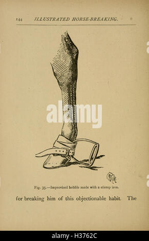 This illustrated guide focuses on horse-breaking techniques, showing ...