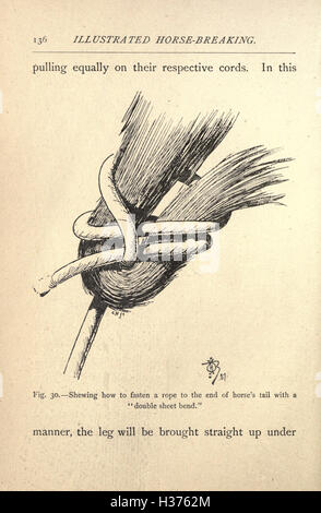 This illustrated guide details methods and techniques for breaking ...